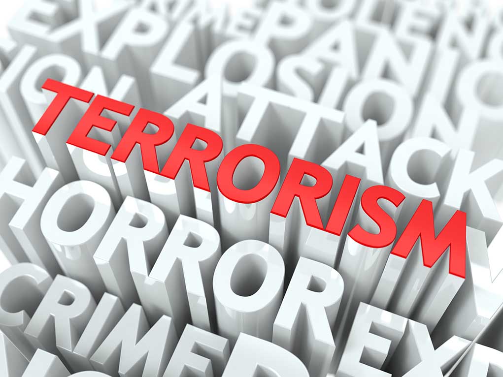 Online Radicalization: The New Face of Lone Wolf Terrorism | News Ready